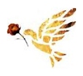 Choosing to Believe (Chukat) - Hebrew for Christians