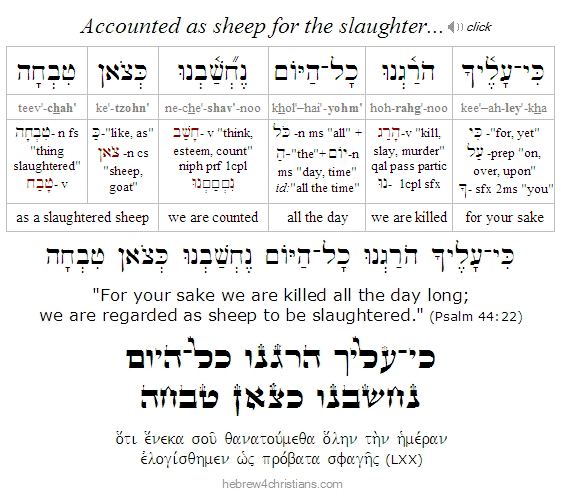 Hebrew for Christians Current Site Updates
